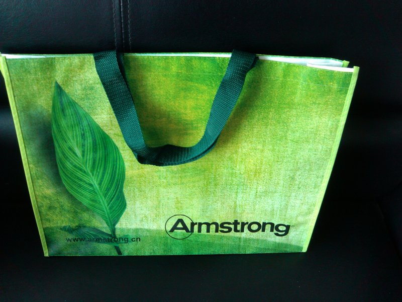 China best Non-woven shopping bag on sales